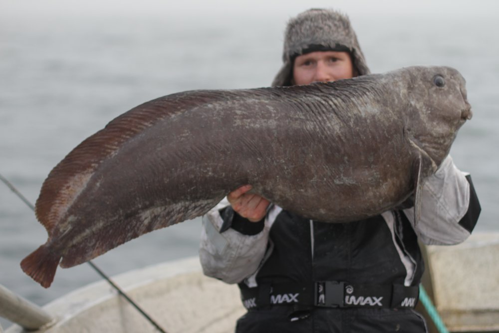Rekordgalleri